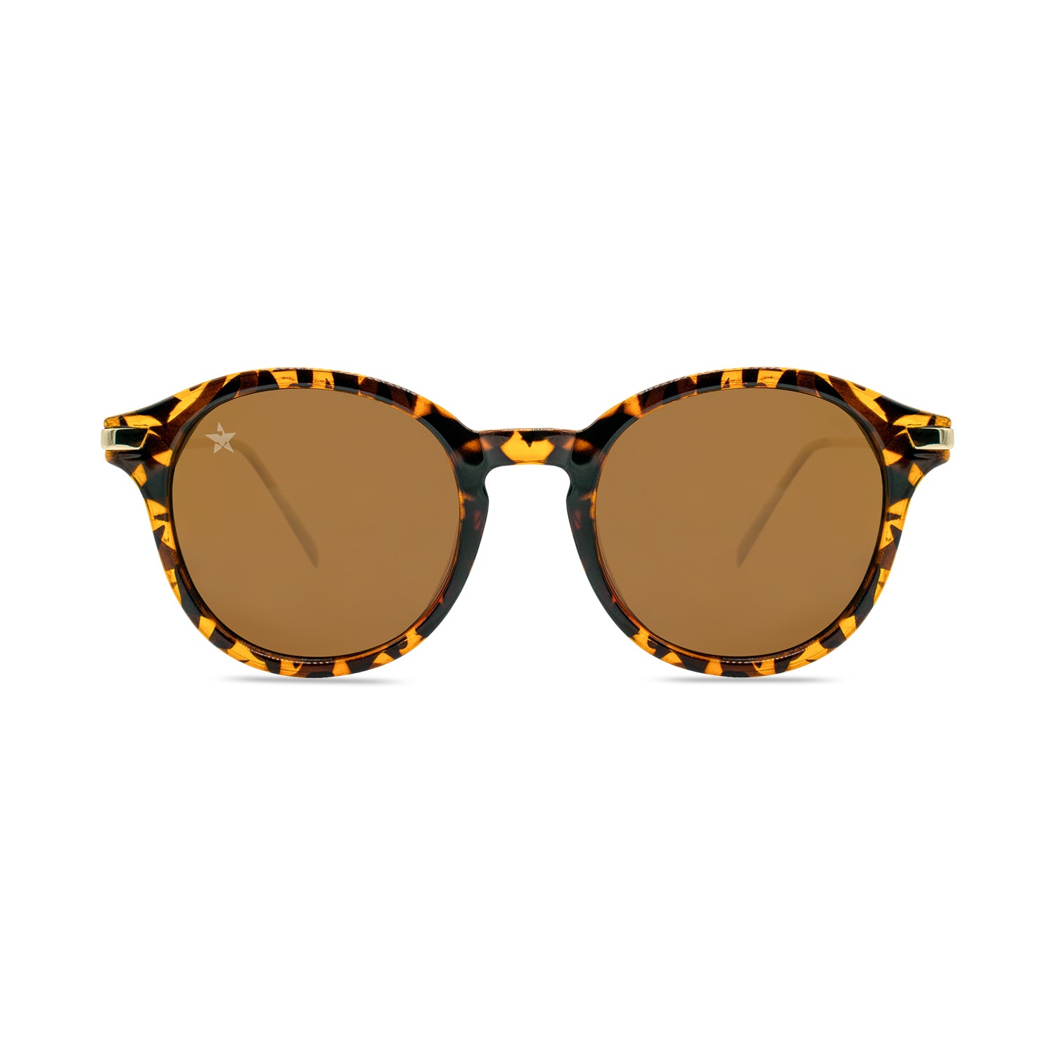 TINTS Eyewear - Affordable Polarized Sunglasses